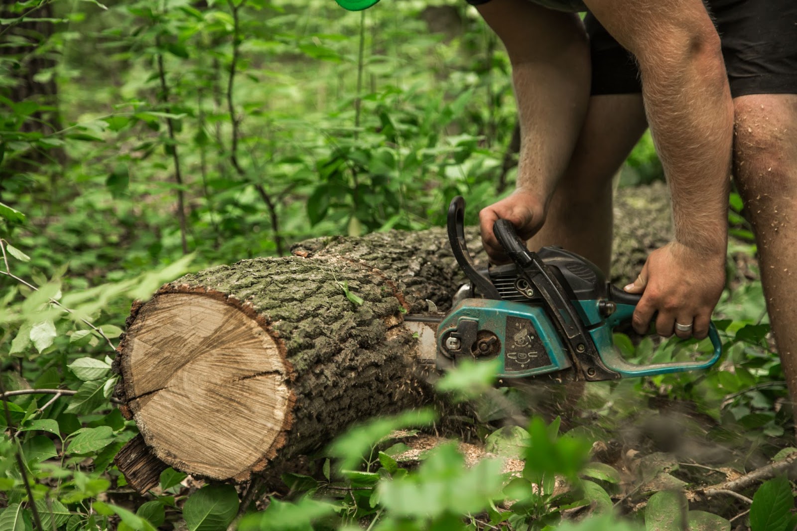 How Recycled Paper Helps the Planet | Eco-Friendly Guide – Rescript