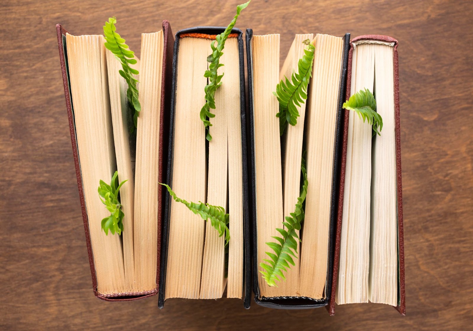 How to Choose the Best Recycled Paper 2025 Planners | Rescript